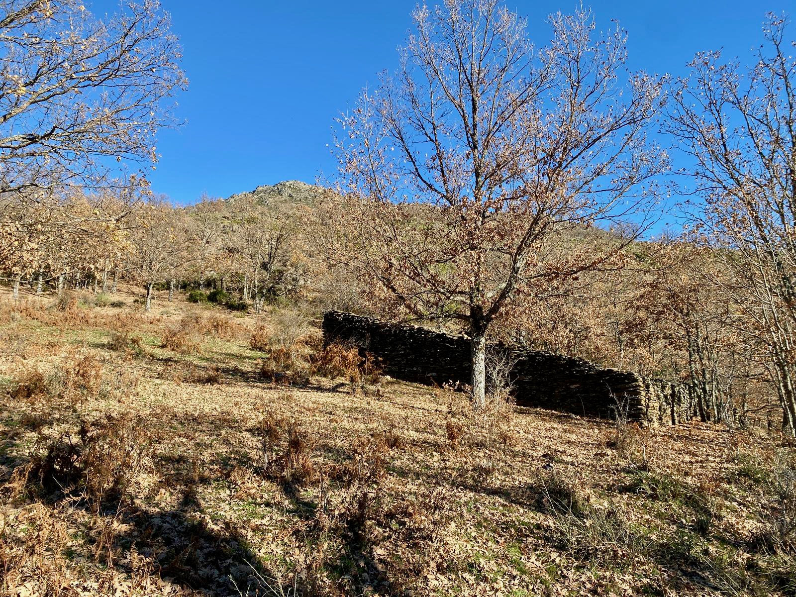 Majada – Montaña y Corazón